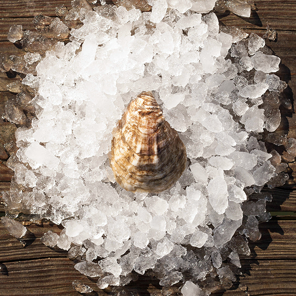 Rappahannock Oyster Co.: Olde Salt Oysters™ (briny)